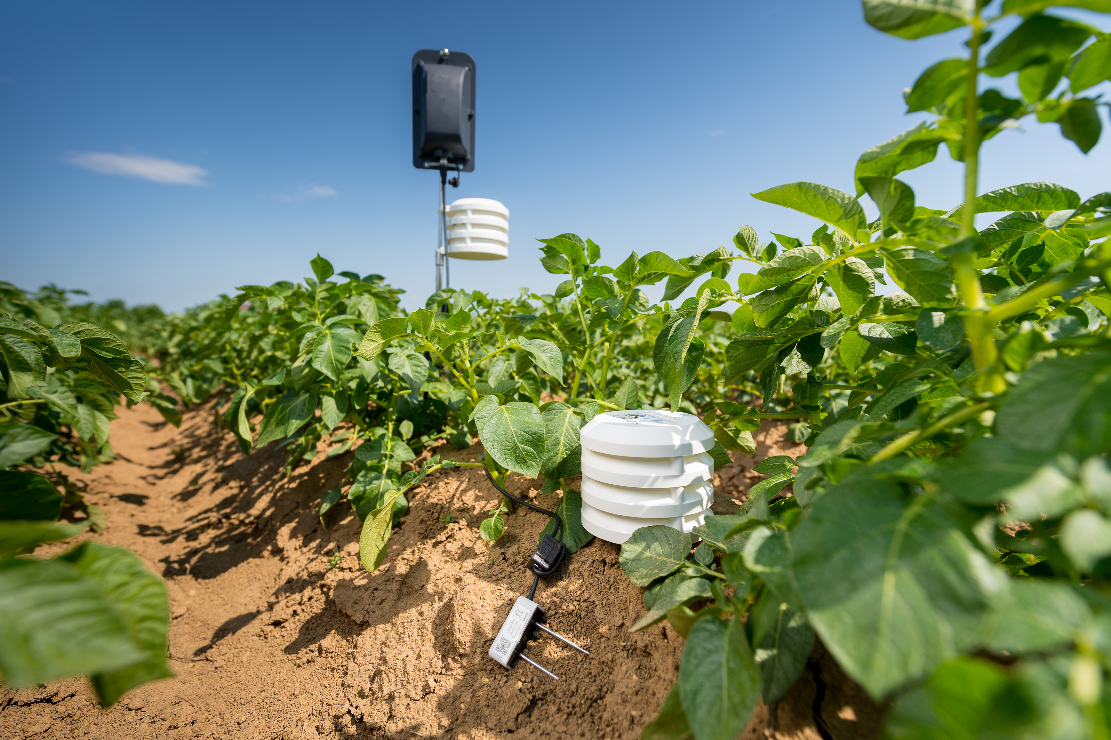 Bosch Deepfield Connect Mobilfunk-Sensoren – Support-Farm | Smart ...